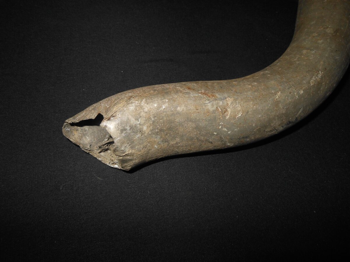 WW2 German Luftwaffe Aircraft – ENIGEN RELIC – Ju88 – WITH HISTORY!